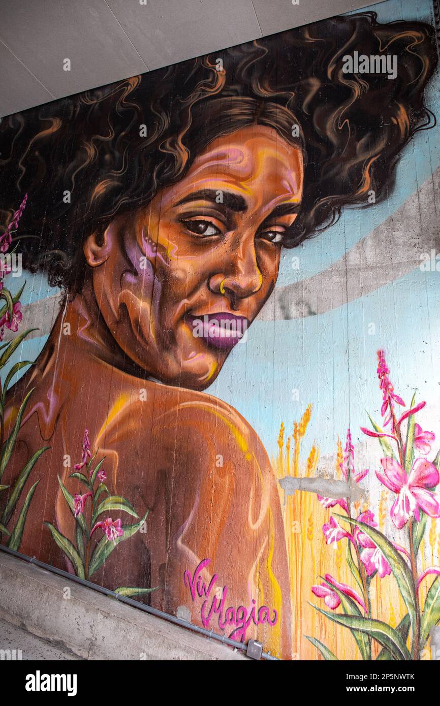 For editorial use only: Mural graffiti by Viv Magia on garage driveway ...