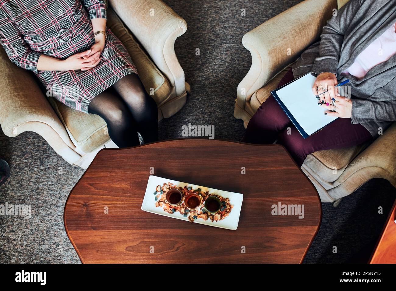 Professional Psychologist Doctor Giving The Consult To Female Patient
