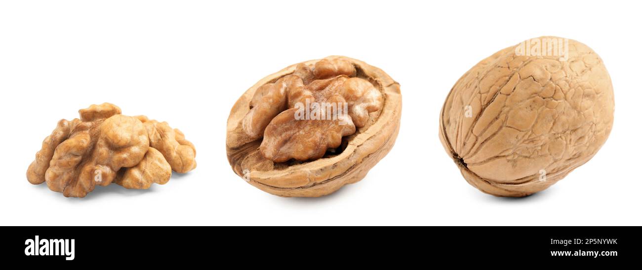 Set with tasty walnuts on white background. Banner design Stock Photo ...