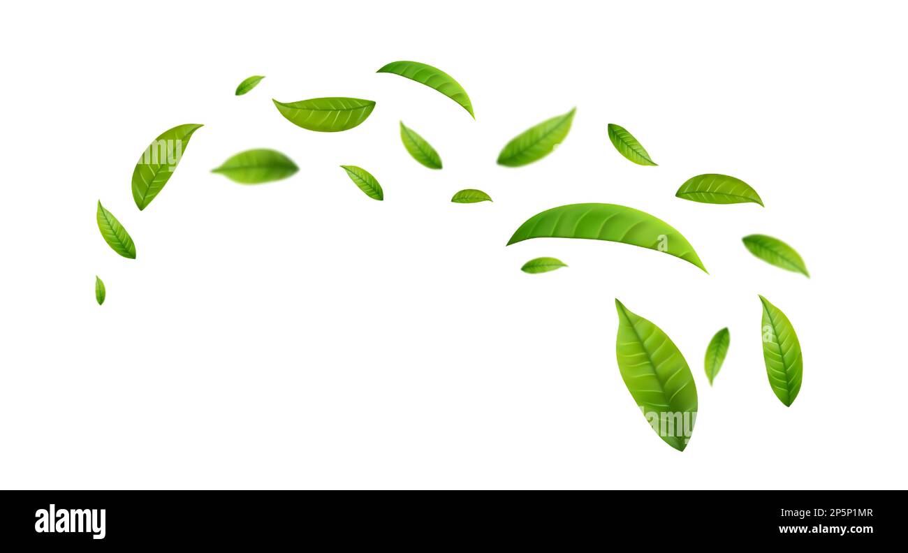 Wind gust tree Stock Vector Images - Alamy