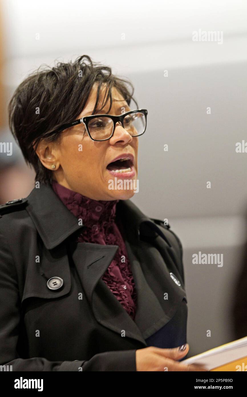 Shawn Chapman Holley, attorney for Lindsay Lohan, appears on Lohan's ...