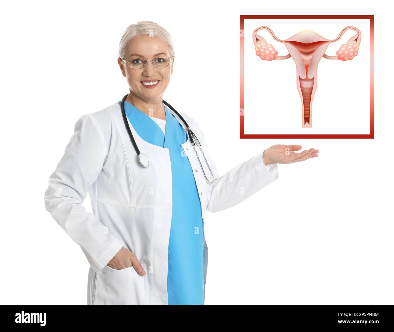 Mature doctor demonstrating illustration of female reproductive system ...
