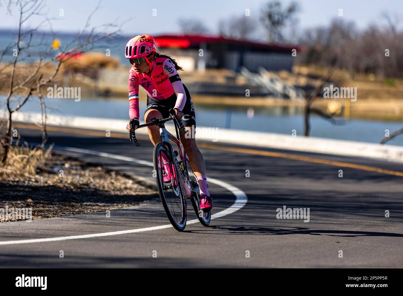 A concentrated female cyclist in a bright pink cycling jersey during ...