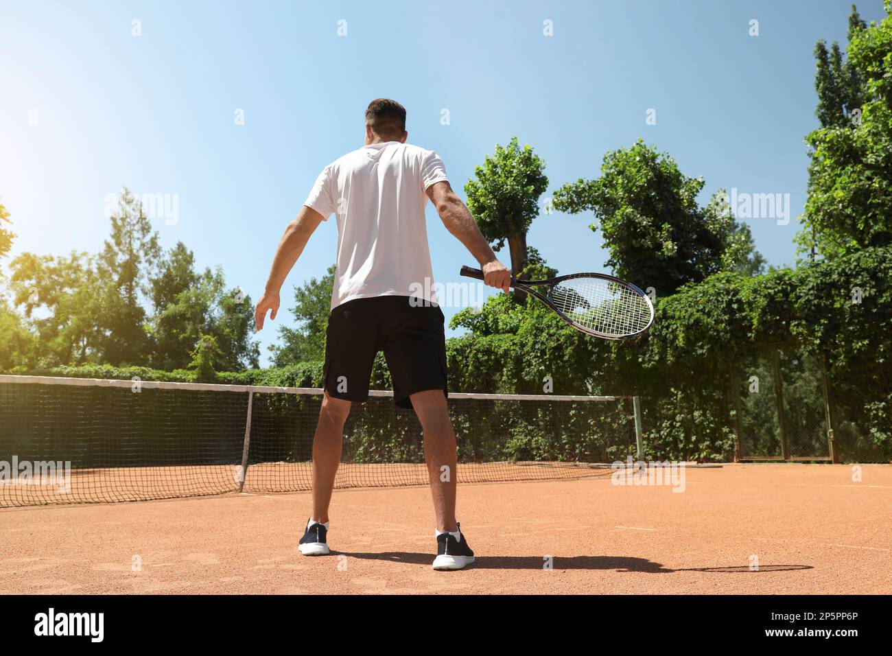 Man playing tennis on court, back view Stock Photo - Alamy