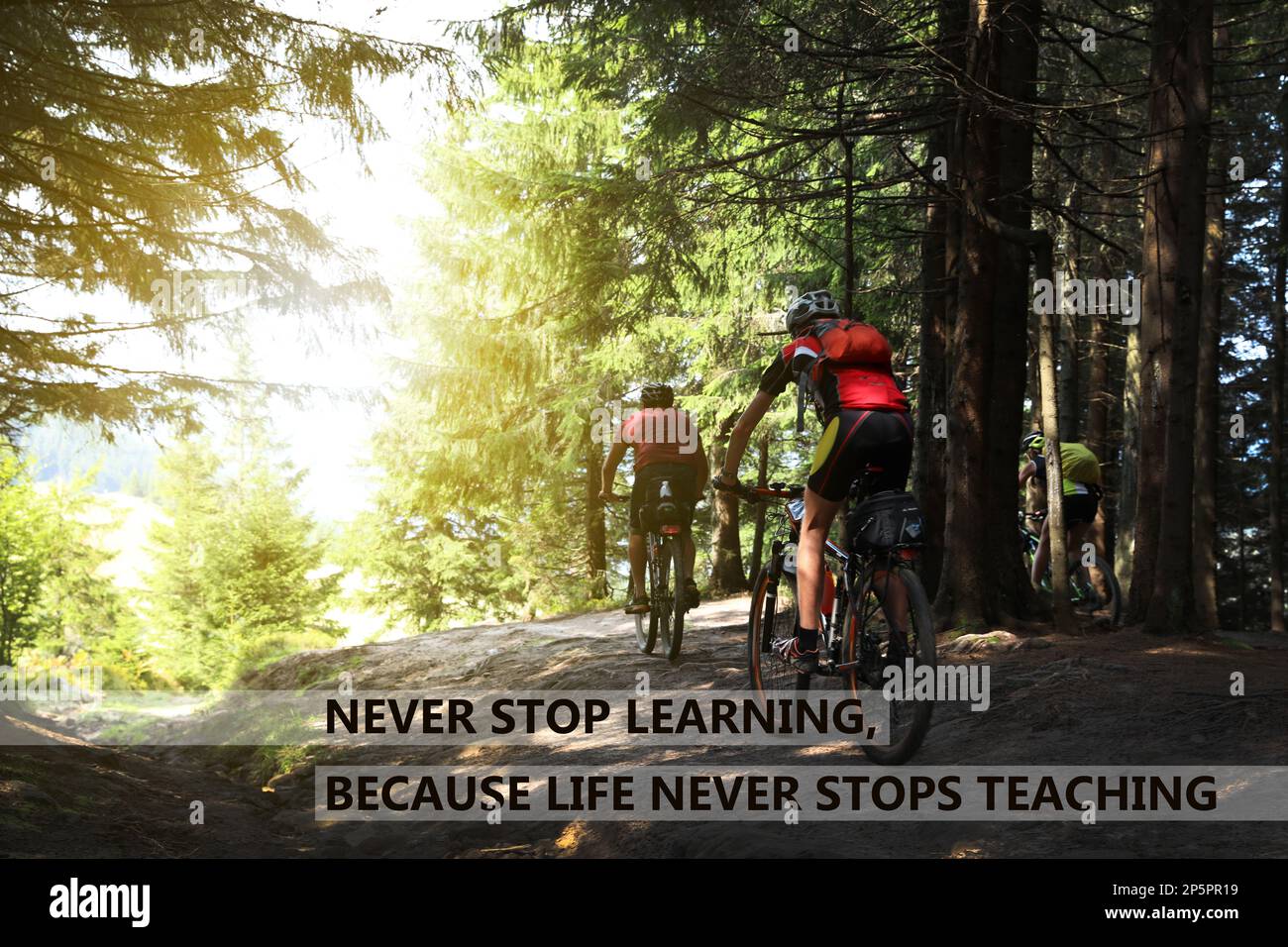 Never Stop Learning, Because Life Never Stops Teaching. Motivational ...