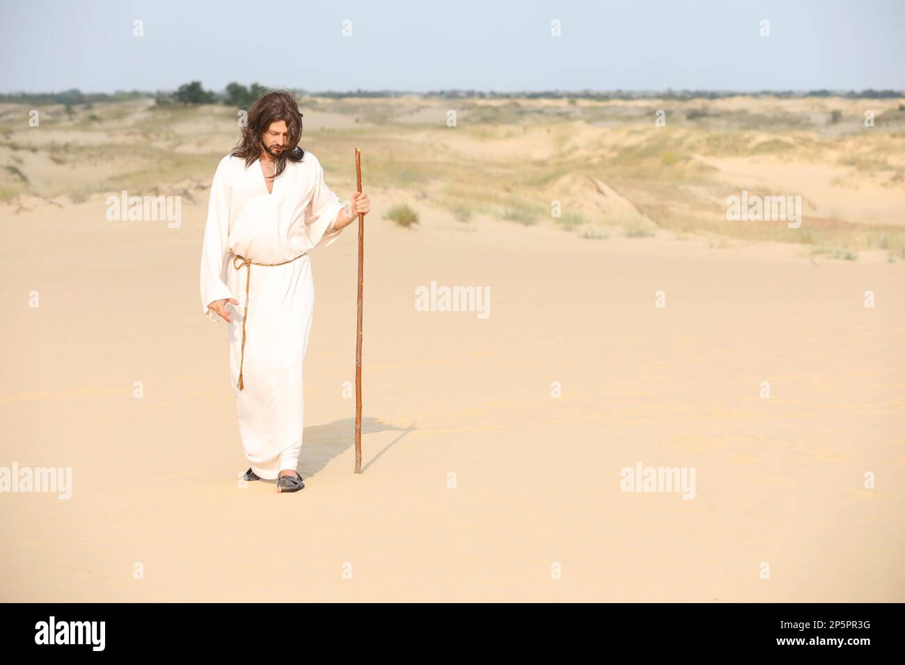 Jesus Christ walking with stick in desert. Space for text Stock Photo ...