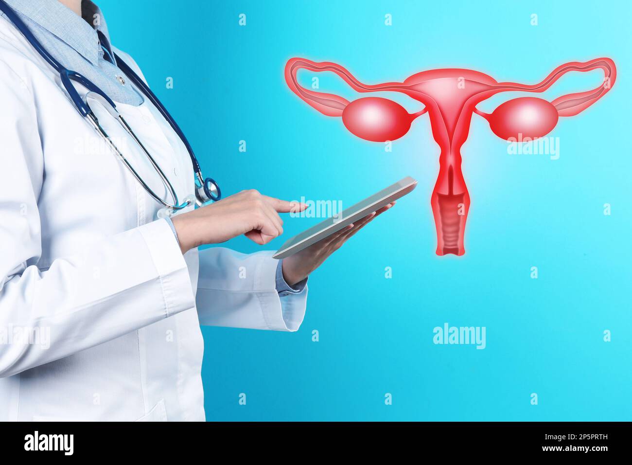 Doctor with tablet and illustration of female reproductive system on ...