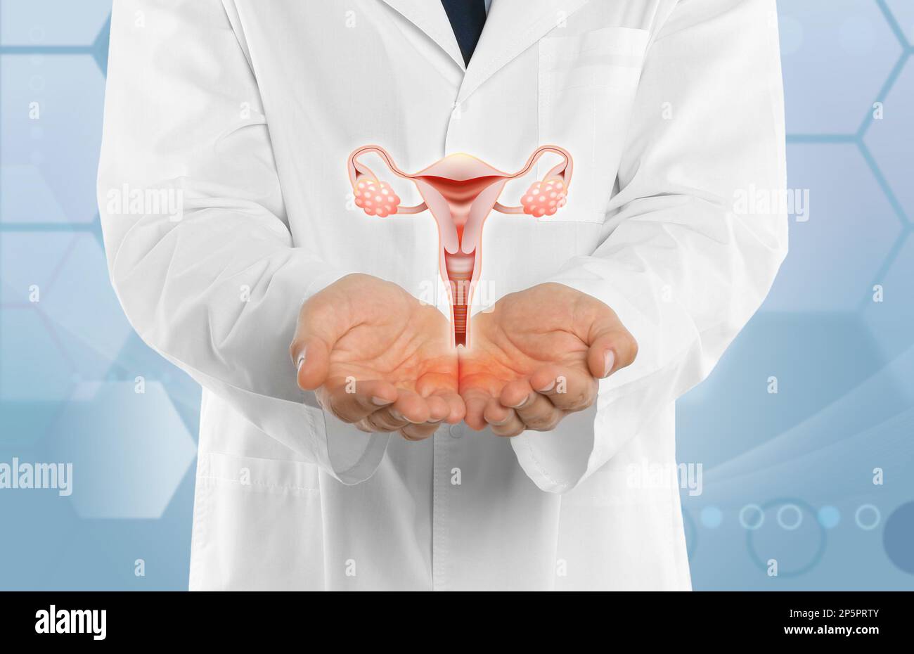 Doctor demonstrating virtual icon with illustration of female ...