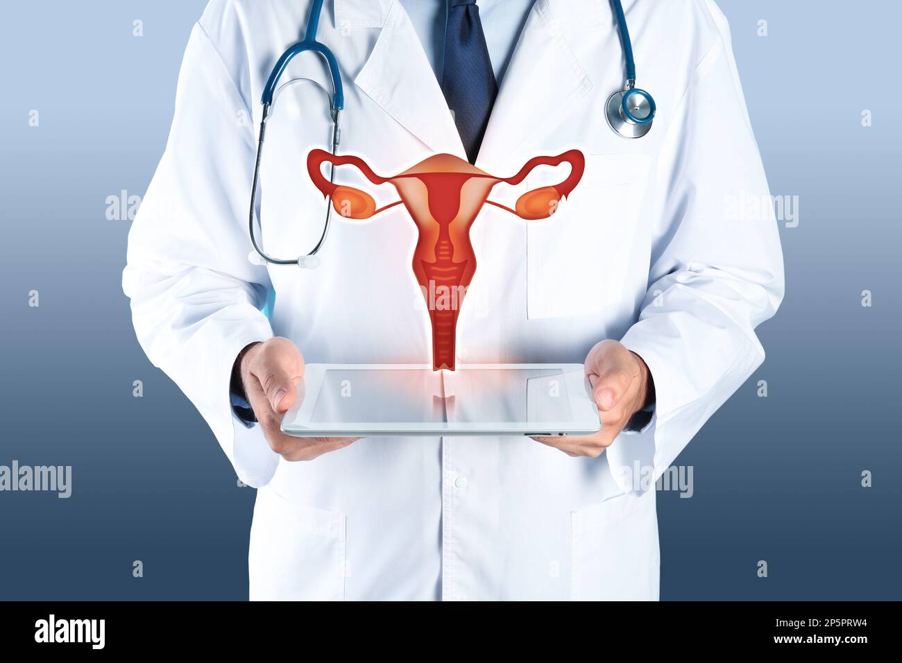 Doctor Demonstrating Virtual Icon With Illustration Of Female