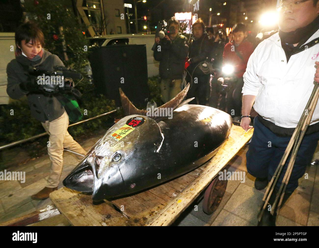 Record Tuna Size