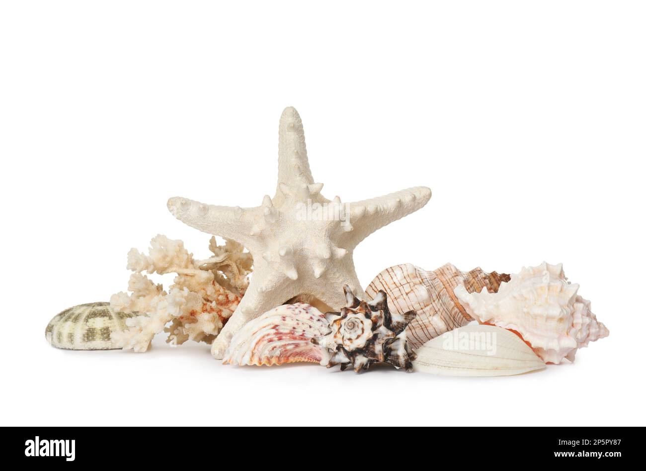 Beautiful starfish, coral and sea shells on white background Stock ...