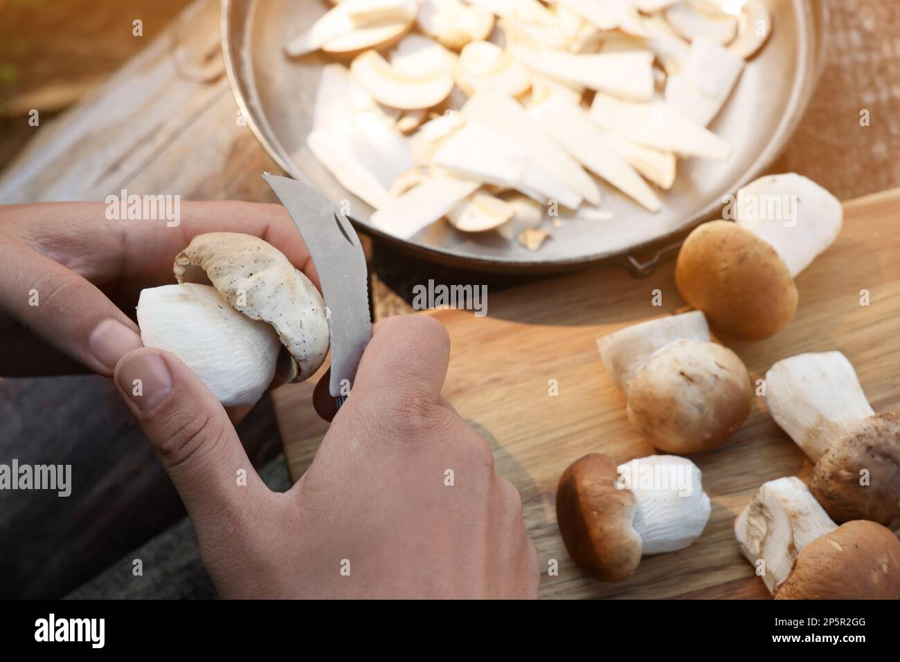 Man cutting knife mushrooms hi-res stock photography and images - Alamy
