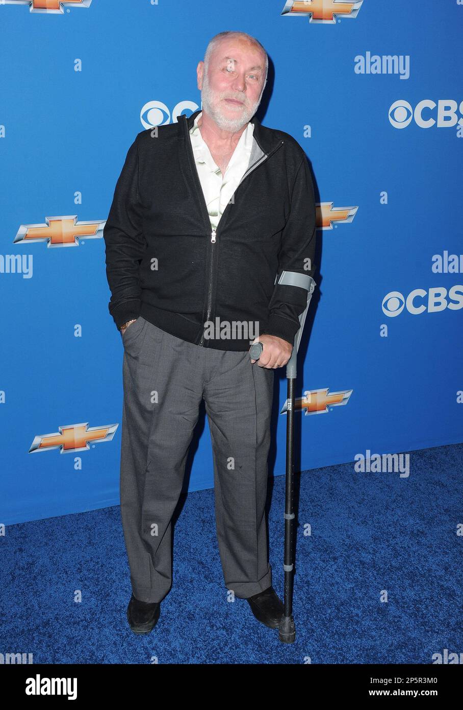 LOS ANGELES, CA - SEPTEMBER 16: Robert Hall arrives at the CBS Fall ...
