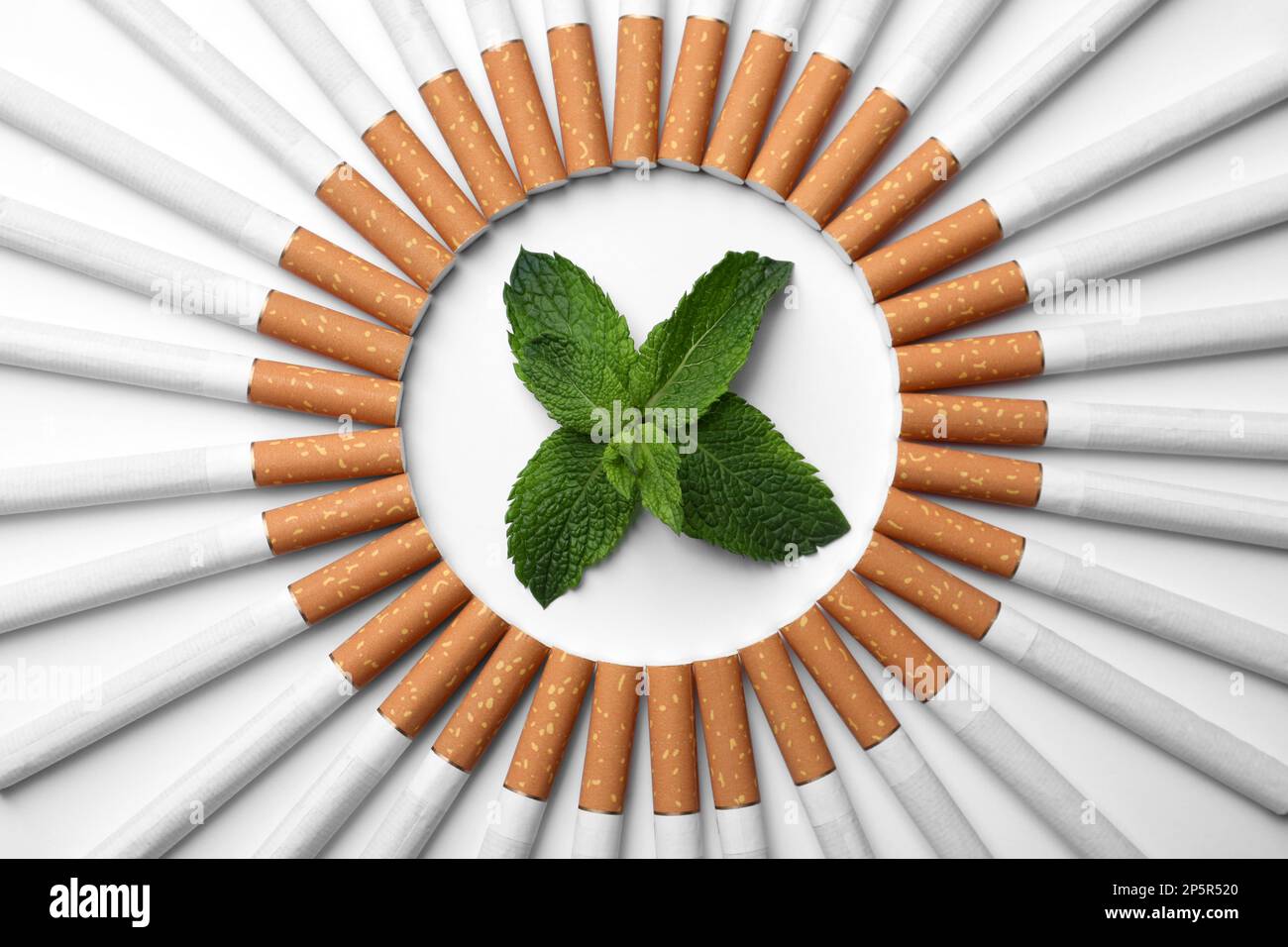 Menthol cigarettes and fresh mint leaves on white background, flat lay ...