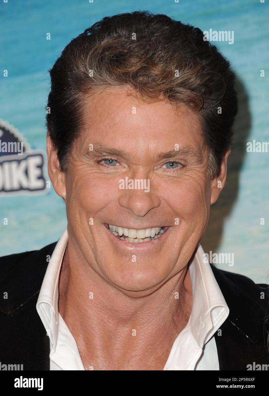 CULVER CITY, CA - AUGUST 01: Actor David Hasselhoff arrives at the ...