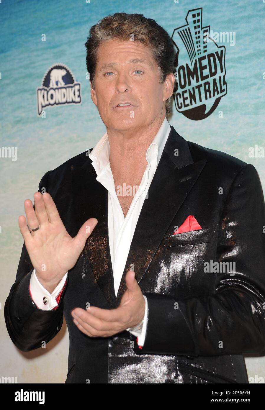 CULVER CITY, CA - AUGUST 01: Actor David Hasselhoff arrives at the ...