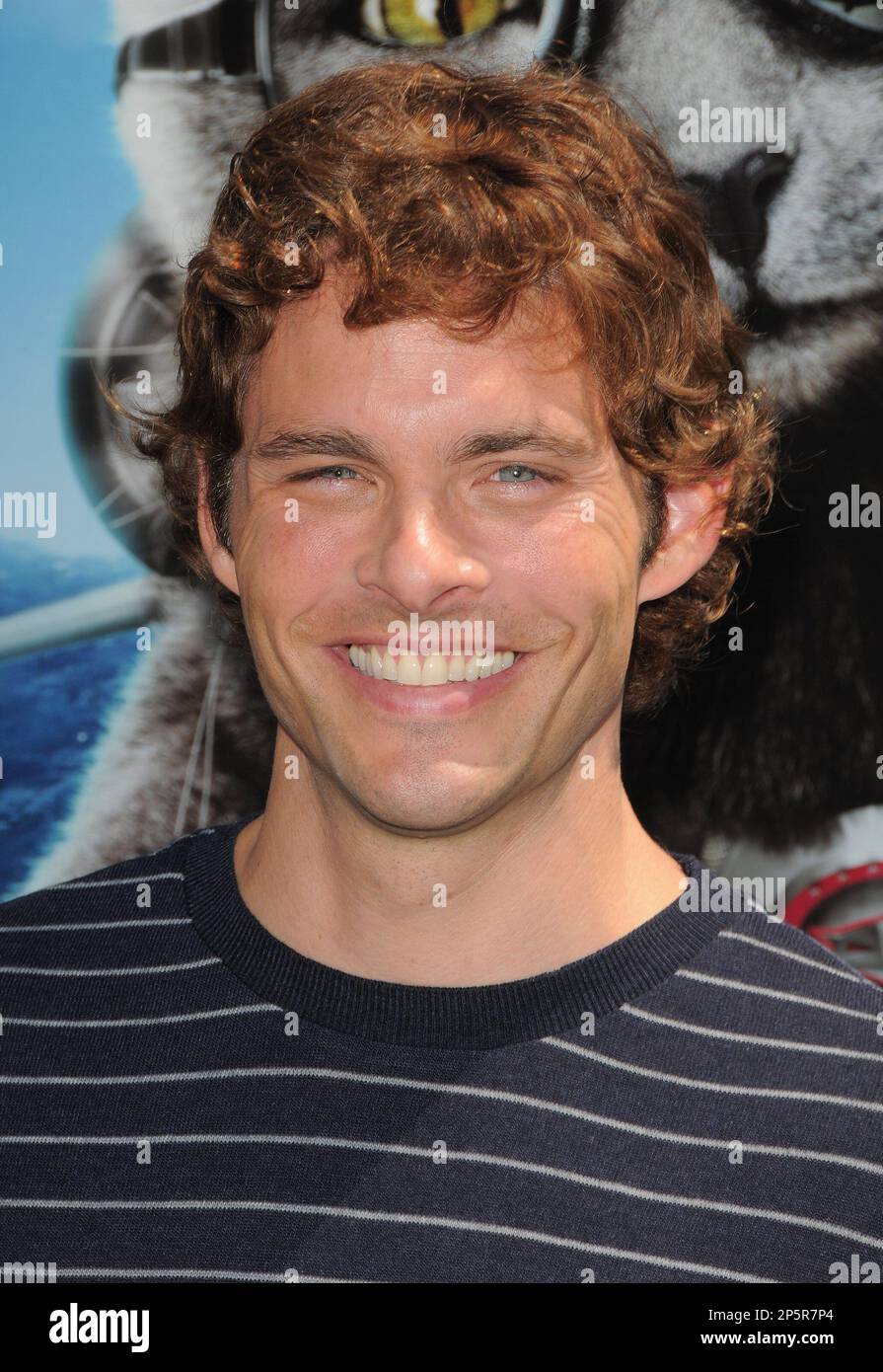 HOLLYWOOD - JULY 25: Actor James Marsden arrives at the "Cats & Dogs ...