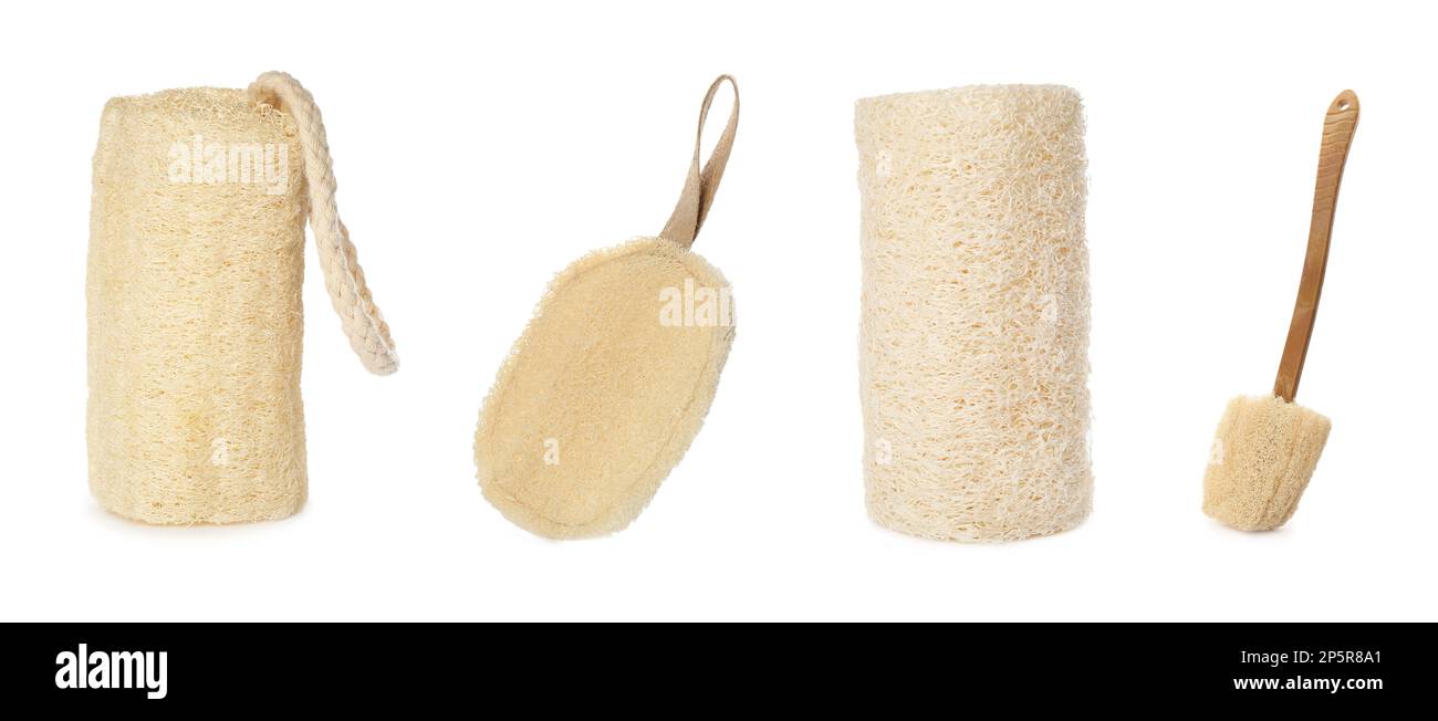 Set with natural shower loofah sponges and brush on white background ...