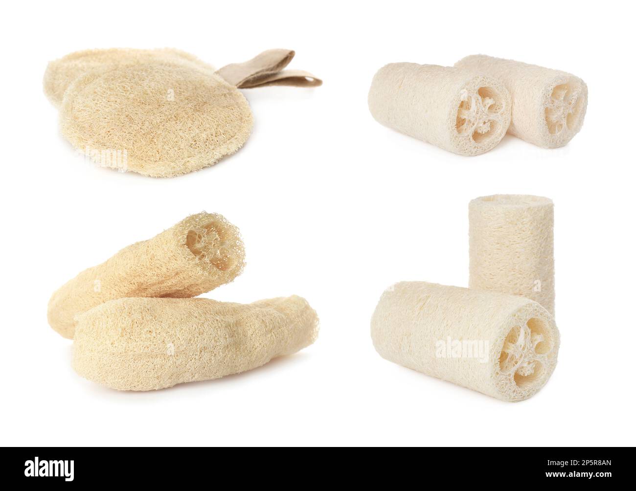 Set with natural shower loofah sponges on white background Stock Photo ...