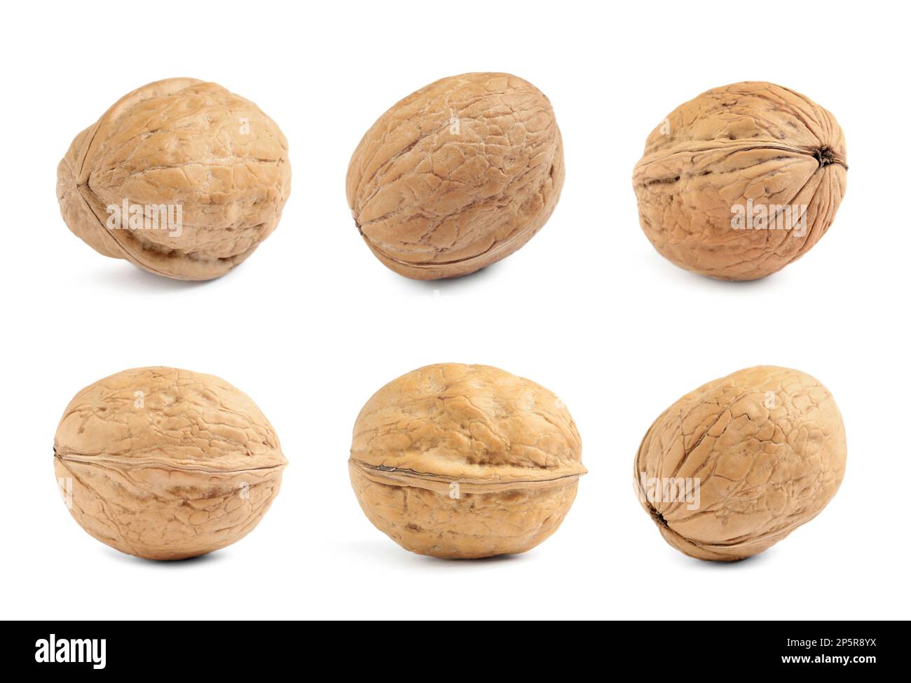 Whole organic walnuts set hi-res stock photography and images - Alamy