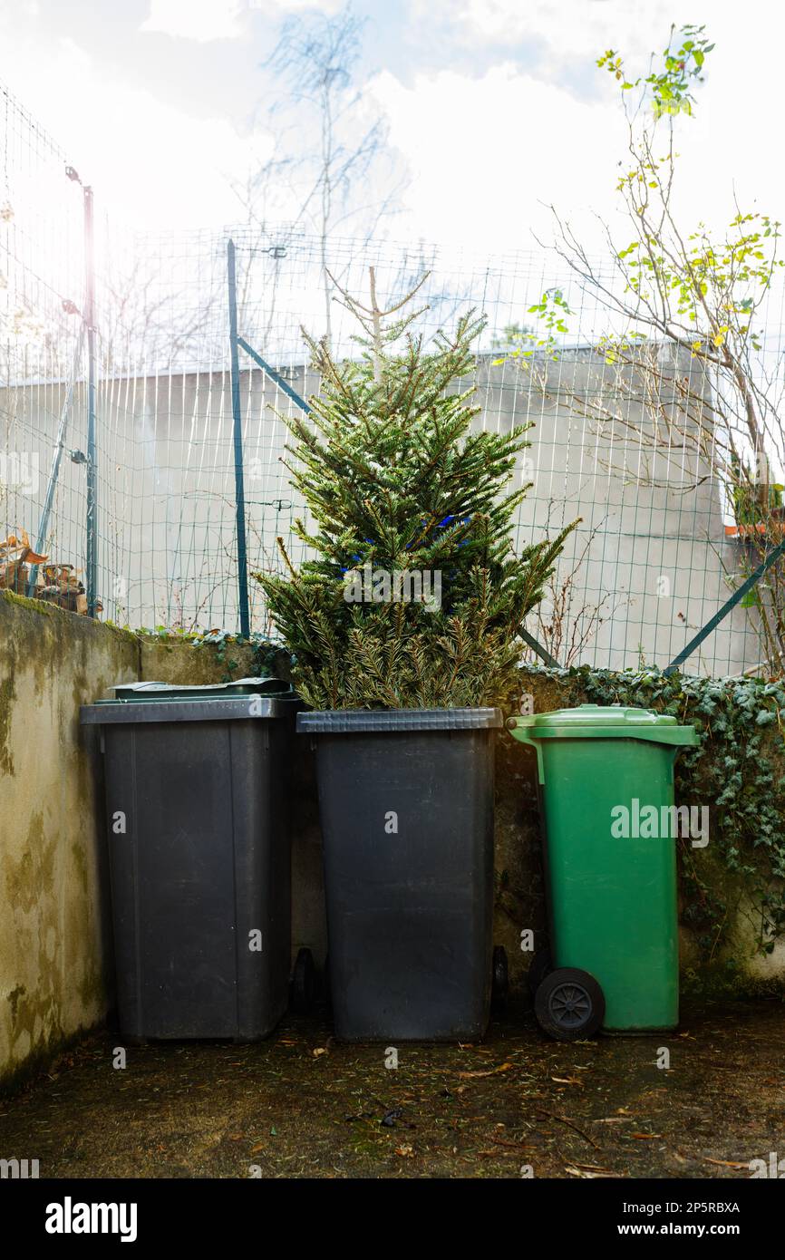 Trashed christmas tree hi-res stock photography and images - Alamy