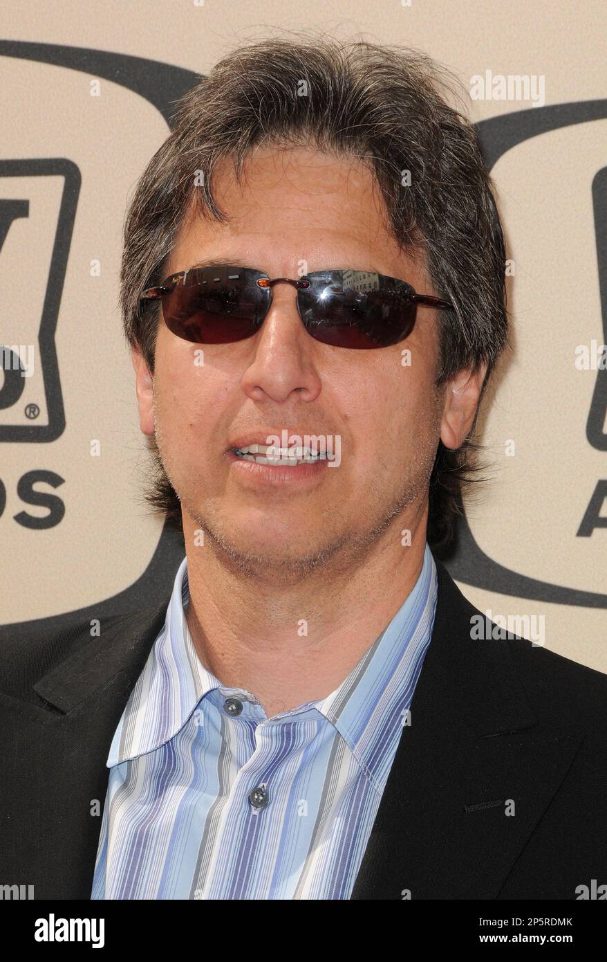 LOS ANGELES, CA - APRIL 17: Actress Ray Romano arrives at 8th Annual TV ...