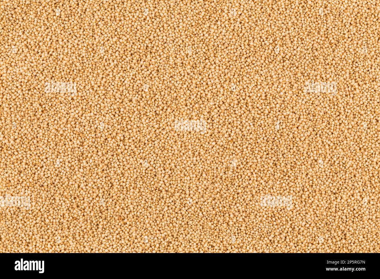 popped amaranth grain closeup as a food background texture Stock Photo ...