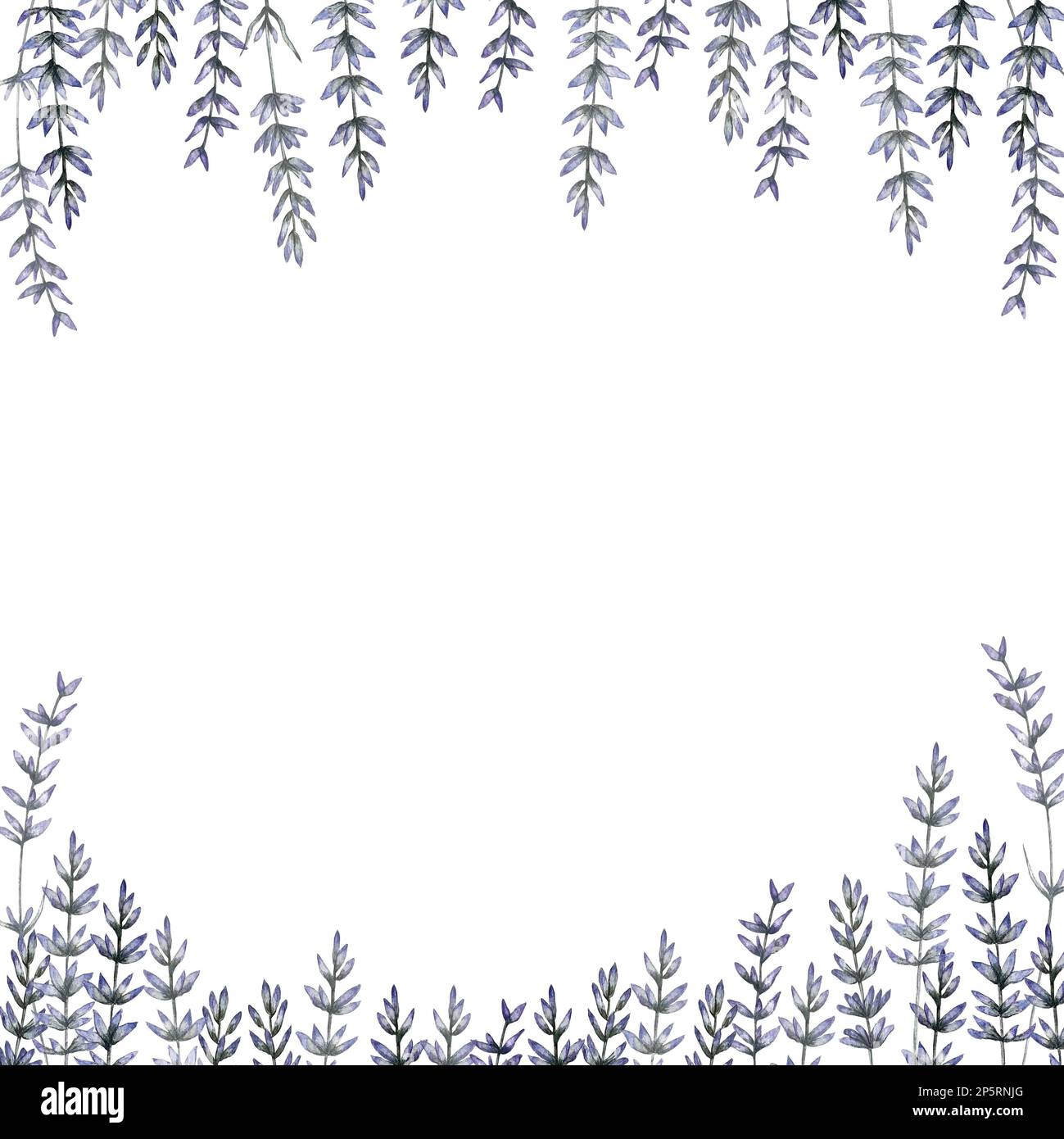 Lavender frame hi-res stock photography and images - Alamy