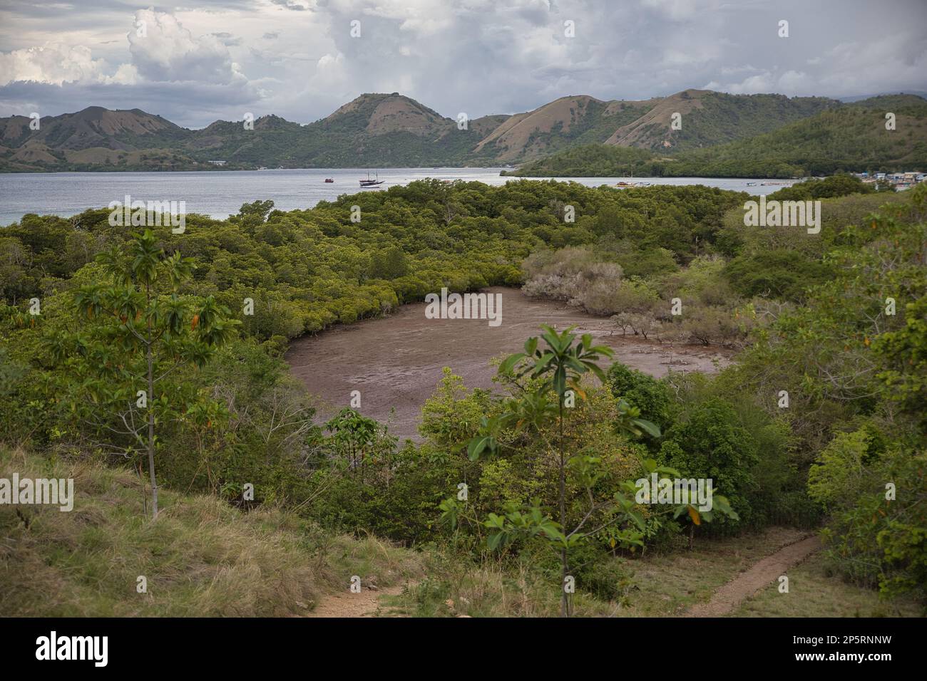 Idyllic panorama on the hill of Kampung Rinca in Komodo National Park ...