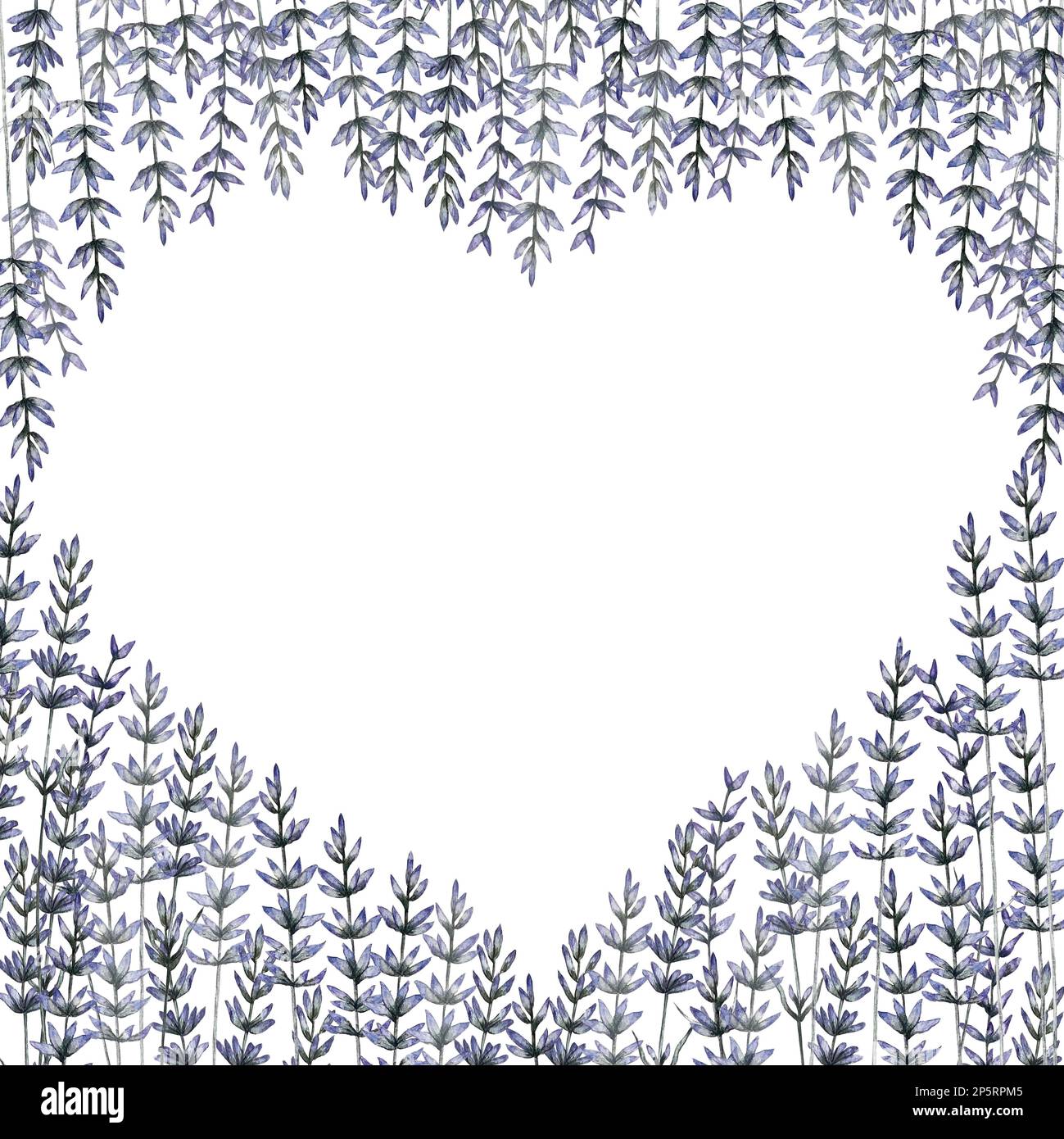 Lavender watercolor hi-res stock photography and images - Alamy