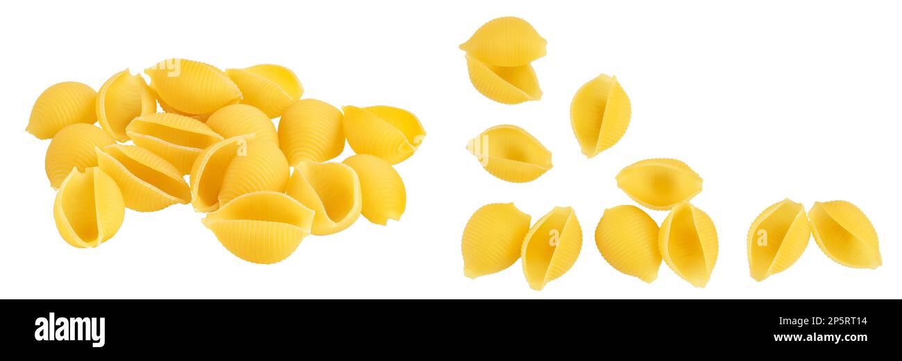 Raw conchiglie shell pasta isolated on white bachground with full depth ...
