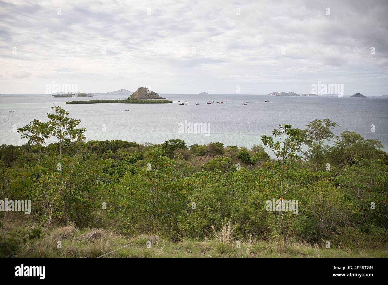Idyllic panorama on the hill of Kampung Rinca in Komodo National Park ...
