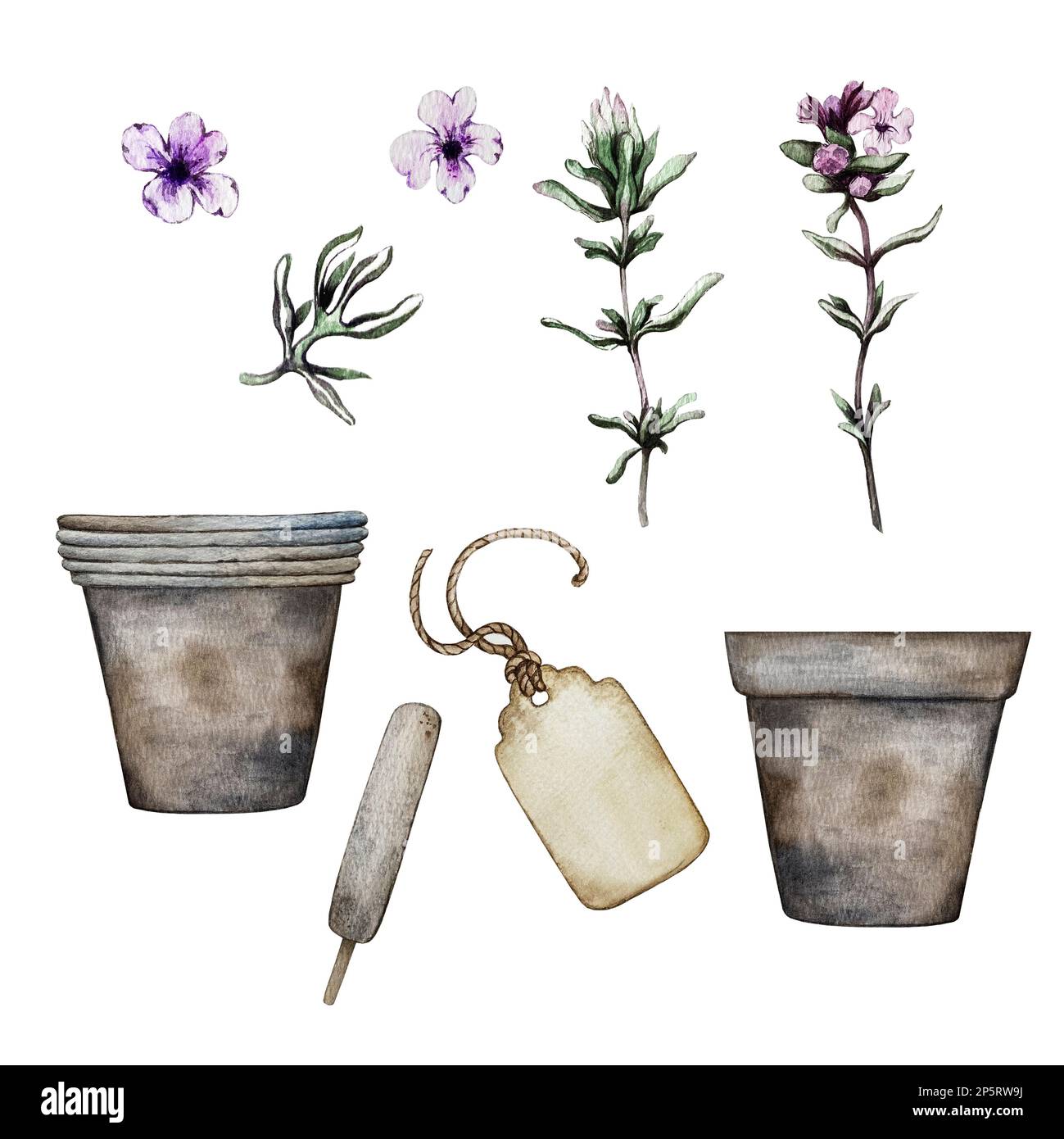 collection of provencal herbs, thyme, flower pot, plate, tag Stock ...