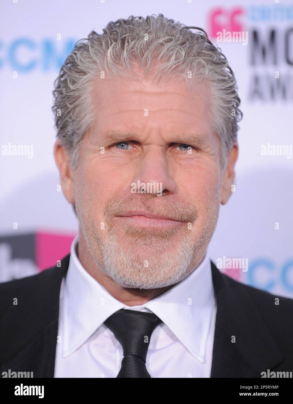 HOLLYWOOD, CA - JANUARY 12: Actor Ron Perlman arrives at the 17th ...