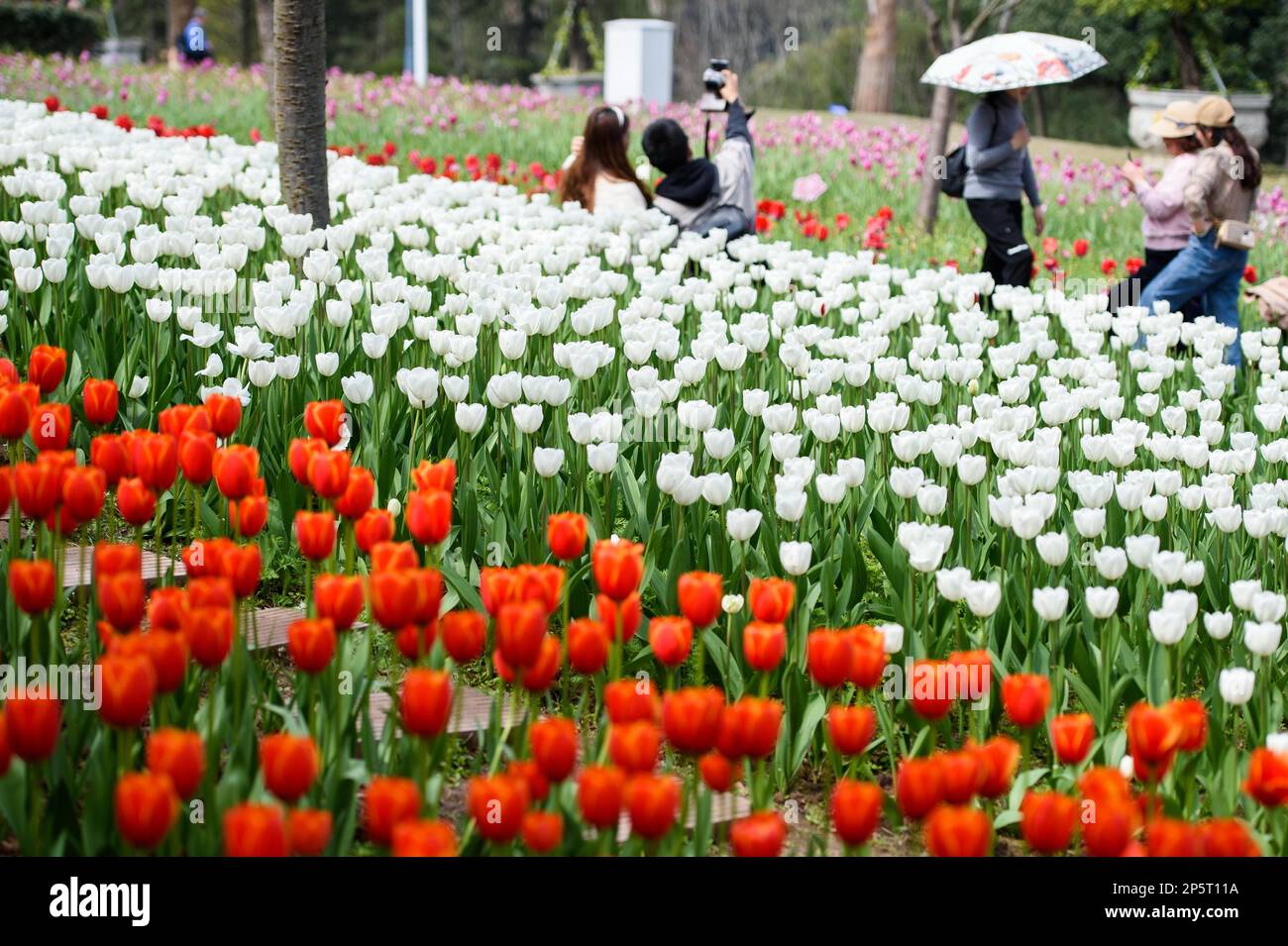 **CHINESE MAINLAND, HONG KONG, MACAU AND TAIWAN OUT** People enjoy the ...