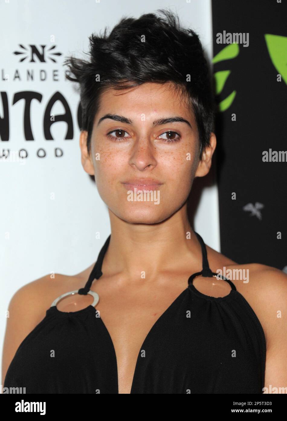 HOLLYWOOD, CA - DECEMBER 01: Shawna Craig arrives at the "Wicked" Los ...