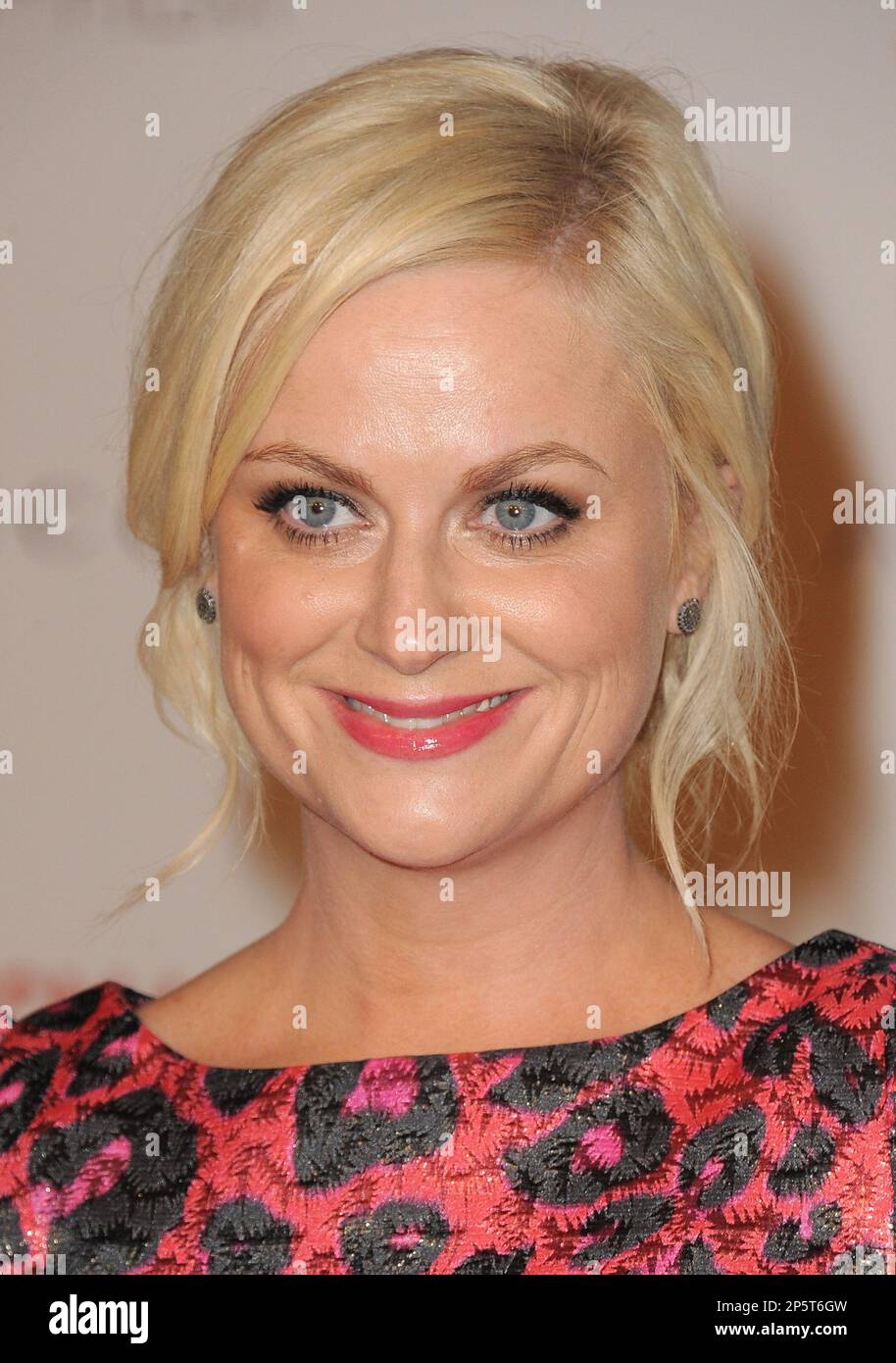 LOS ANGELES, CA - NOVEMBER 05: Actress Amy Poehler arrives at LACMA's ...