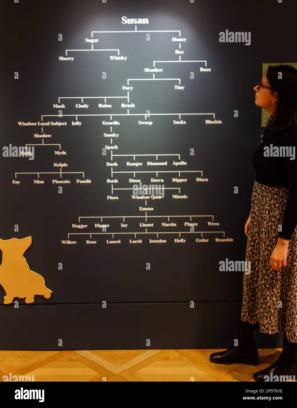 London UK 7 March 2023 The queens Corgi's family tree Britain’s longest ...