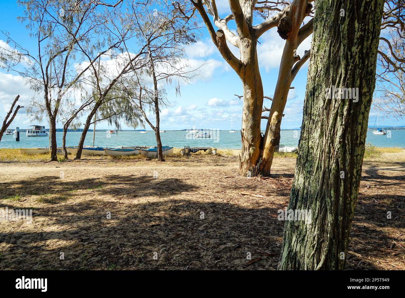 View between trees on the foreshore, to the water at high tide, with ...