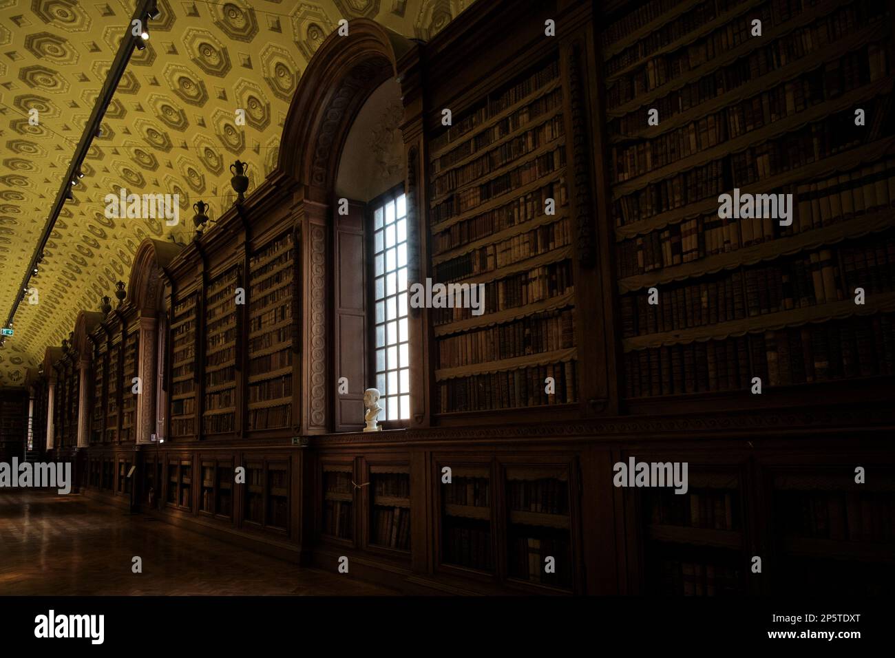 2023 FEB - ITA - Palatine Library in the Palazzo della Pilotta, Parma ...
