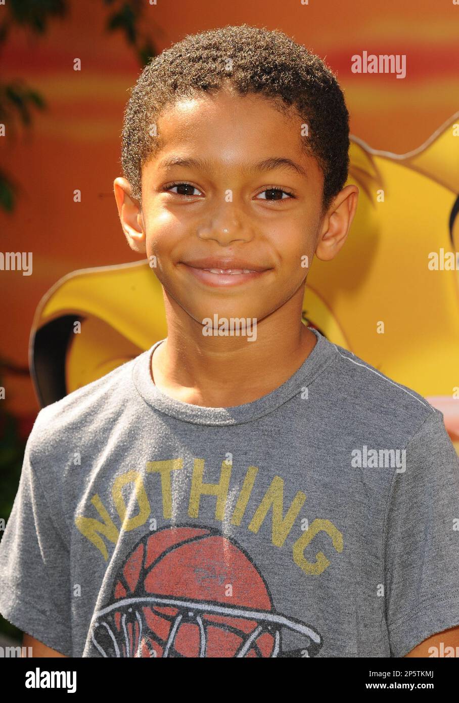 HOLLYWOOD, CA - AUGUST 27: Sayeed Shahidi arrives at "The Lion King 3d ...