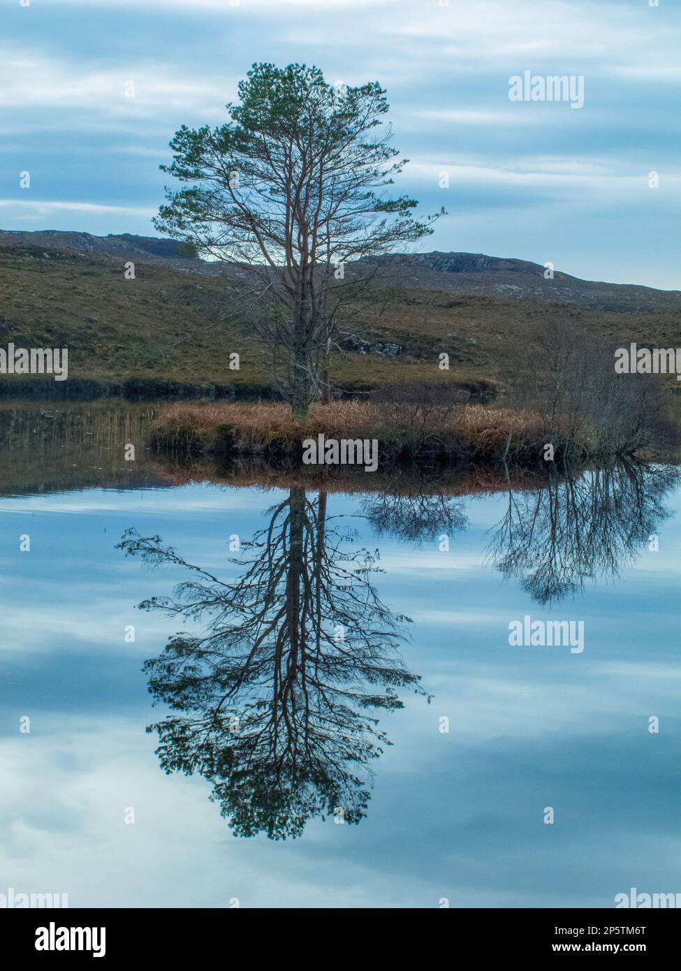 Loch an reeds hillside sky clouds cloudy mirrored hi-res stock ...