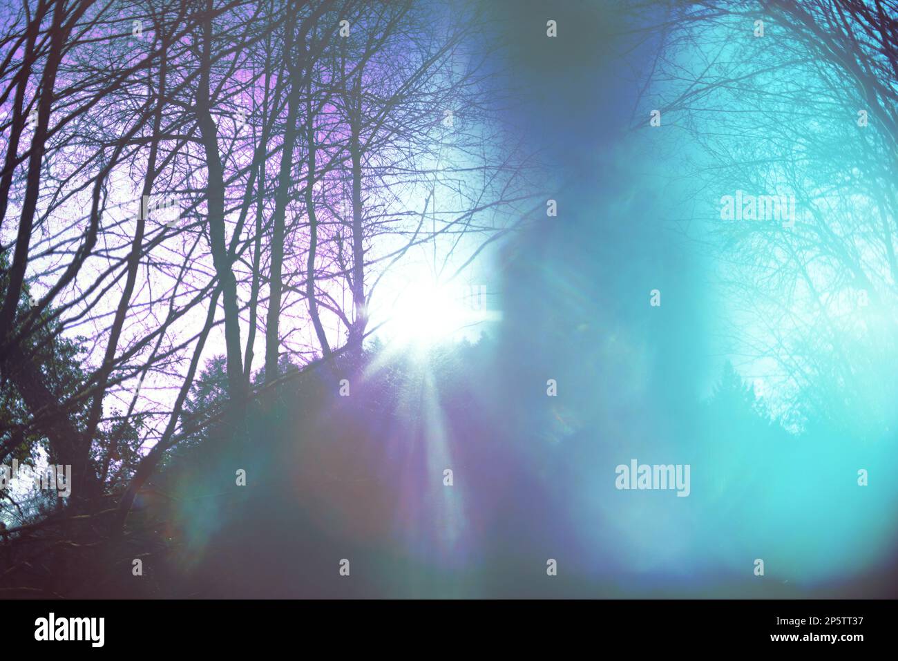 Psychic waves of light in nature, spirituality and religious belief ...