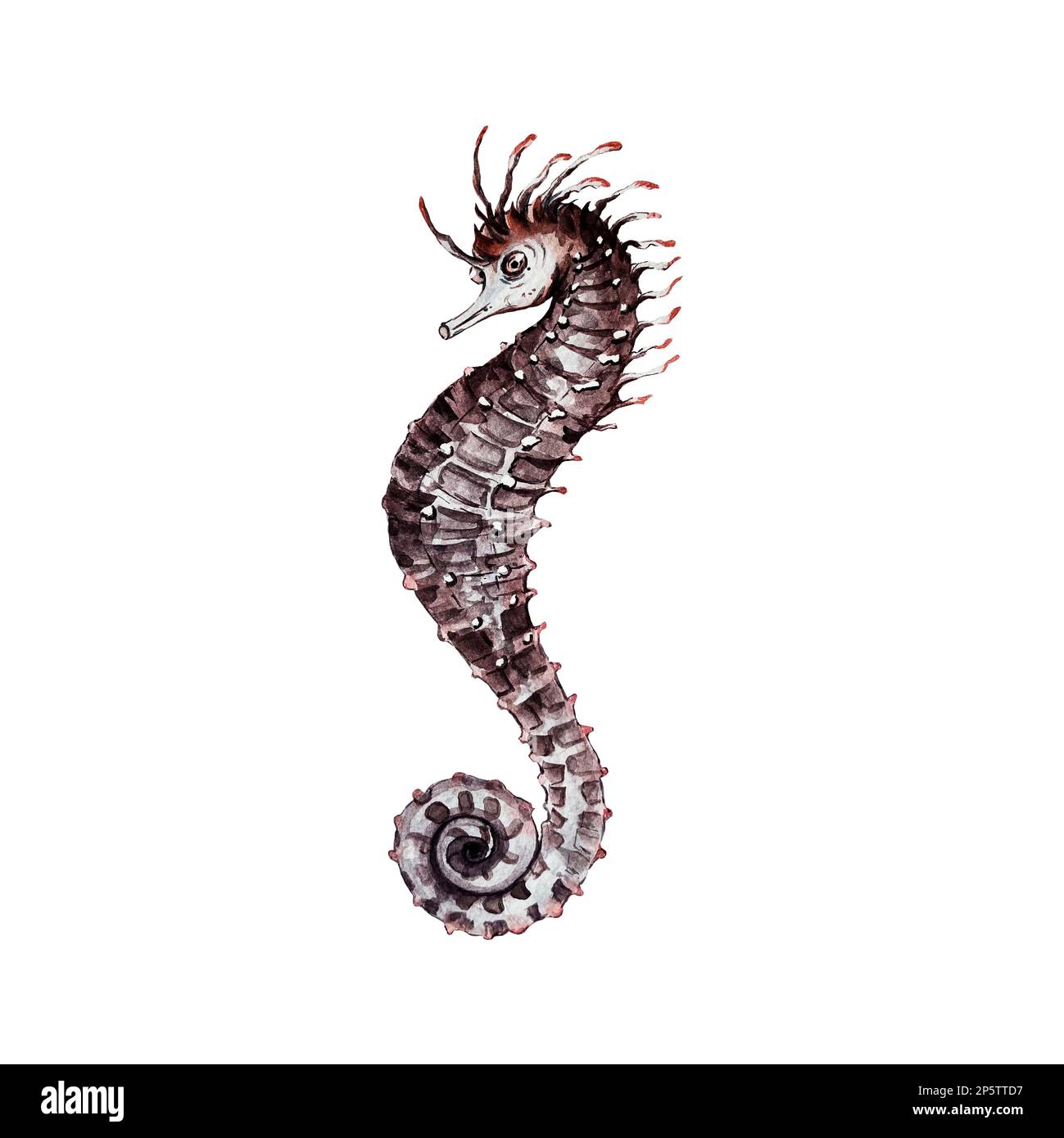 Cute red horse character Cut Out Stock Images & Pictures - Alamy