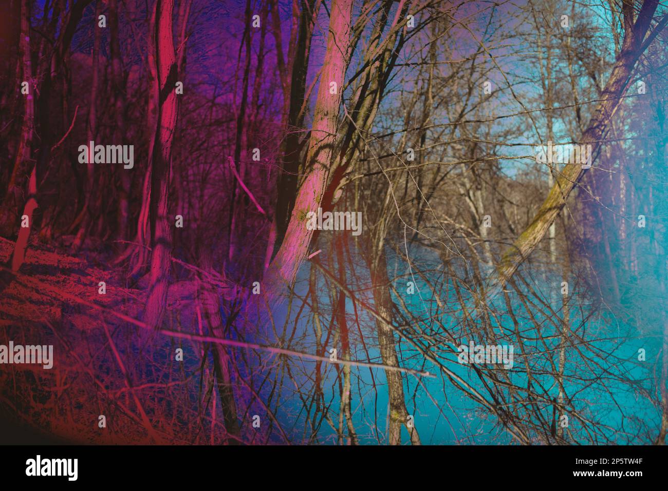 Psychic waves of light in nature, spirituality and religious belief ...