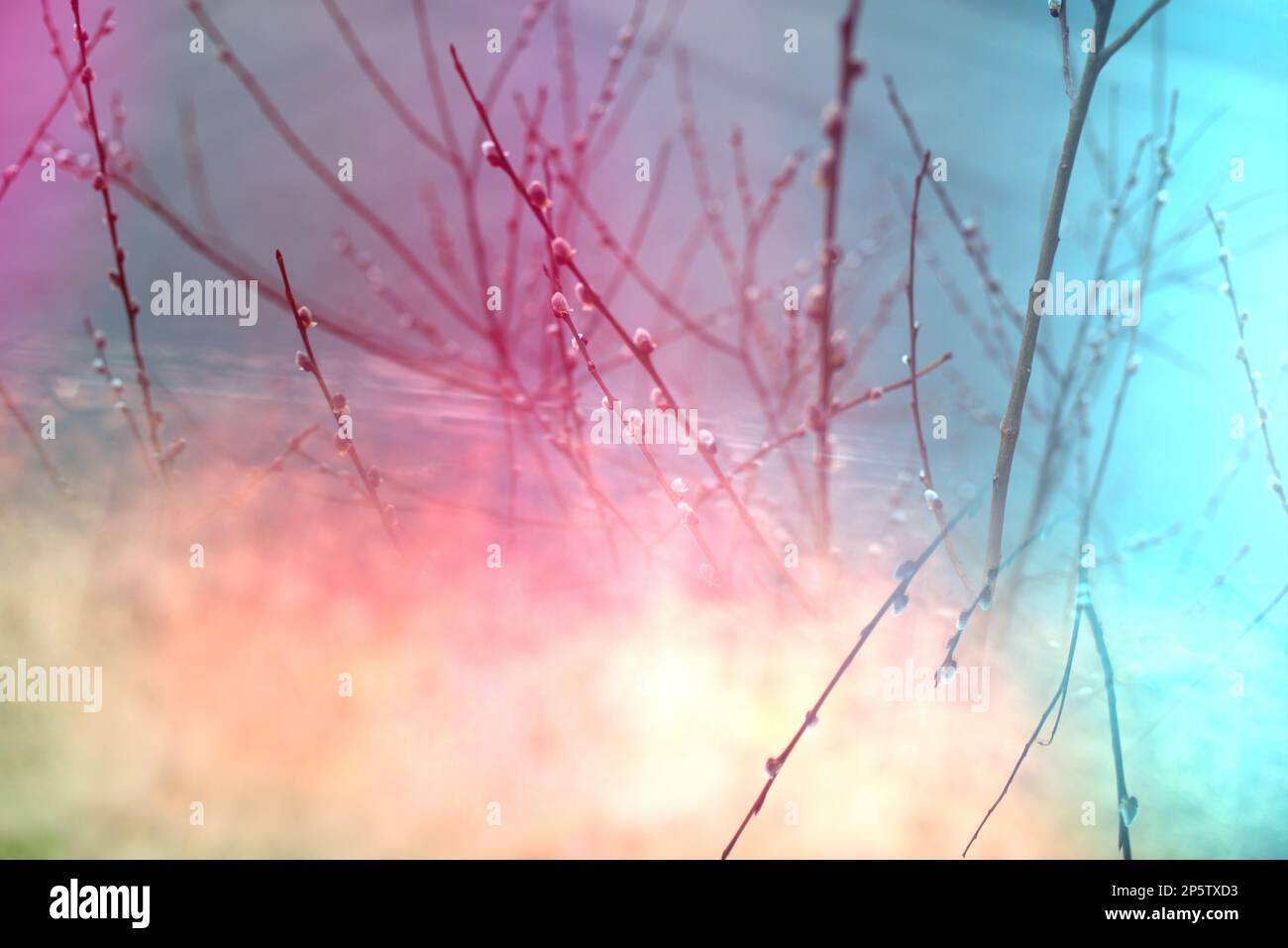 Psychic waves of light in nature, spirituality and religious belief ...