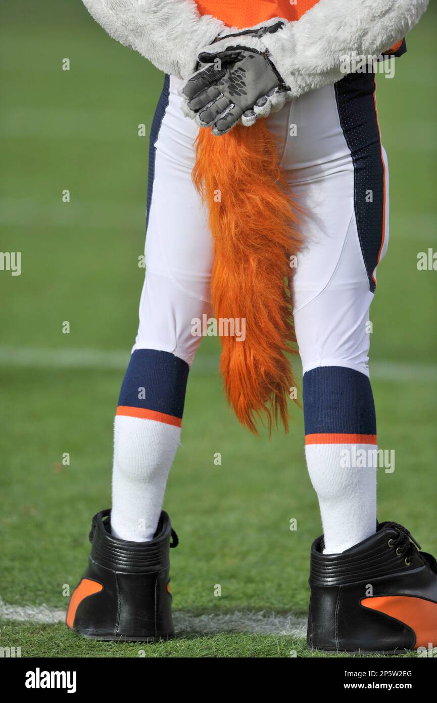 Denver Broncos Miles Mascot Wallpapers