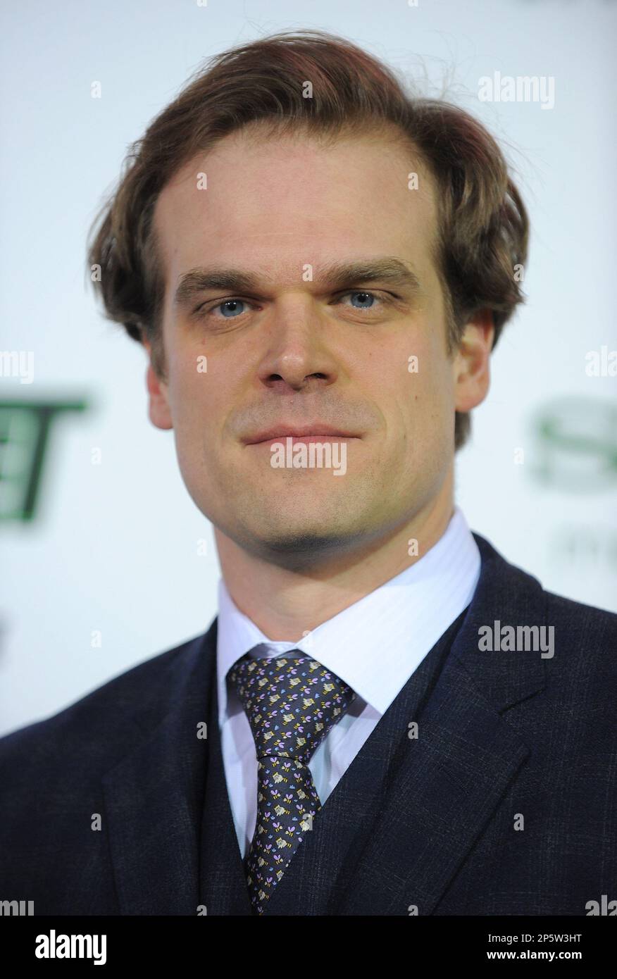 HOLLYWOOD, CA - JANUARY 10: Actor David Harbour arrives at "The Green ...