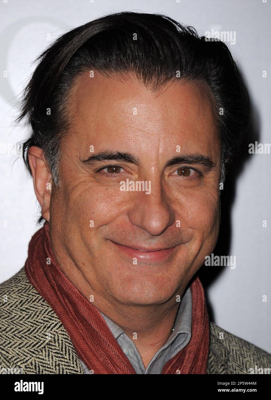 LOS ANGELES, CA - DECEMBER 14: Actor Andy Garcia arrives at the ...