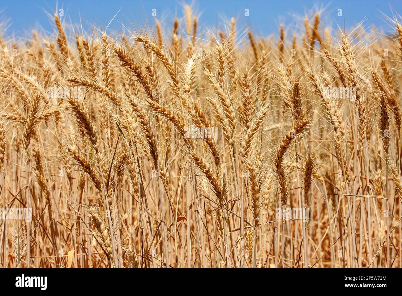 Central western new south wales hi-res stock photography and images - Alamy